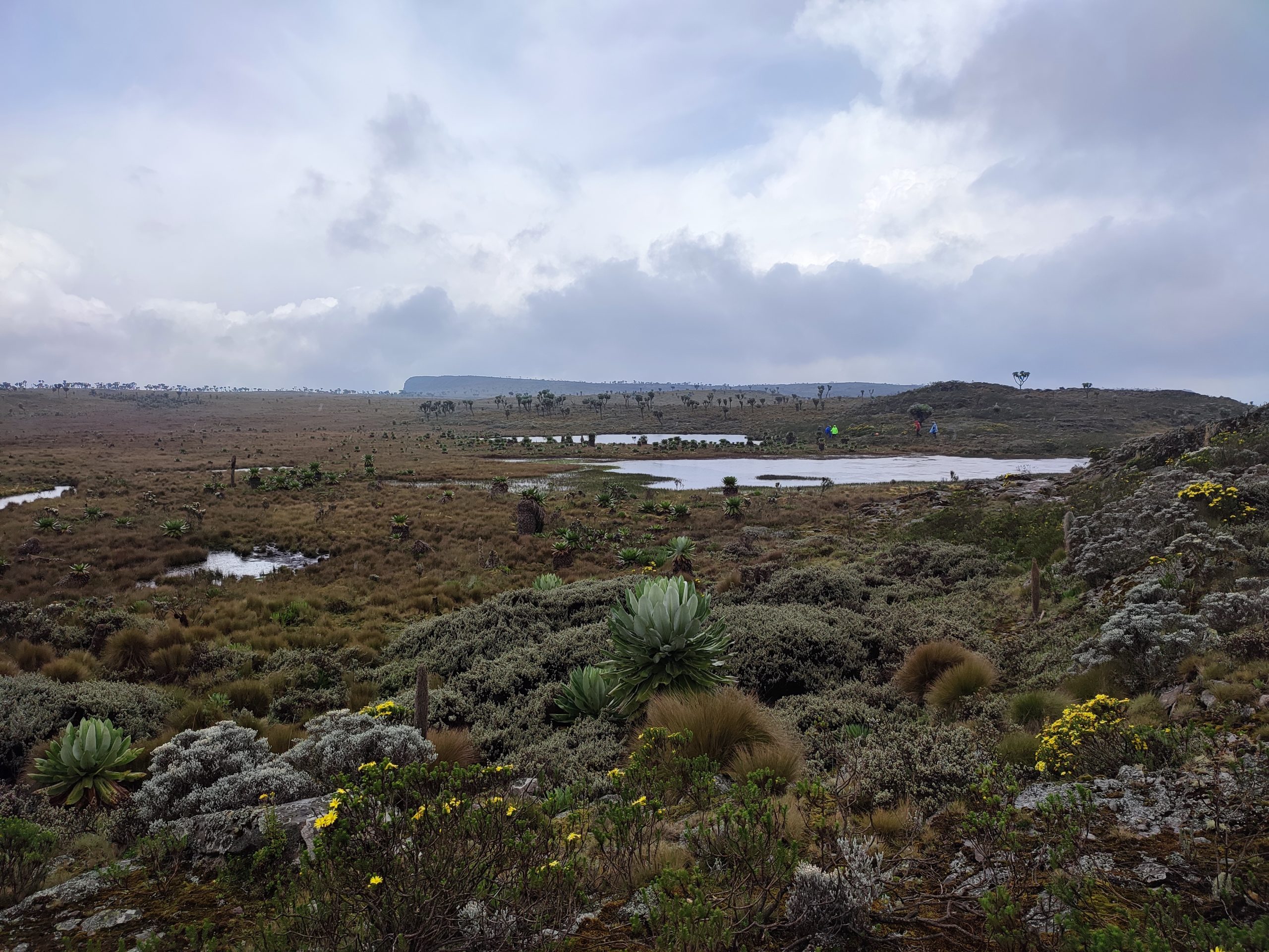 7 Ponds Aberdares Hike Ex Nairobi - TRAVEL OLTEPESI